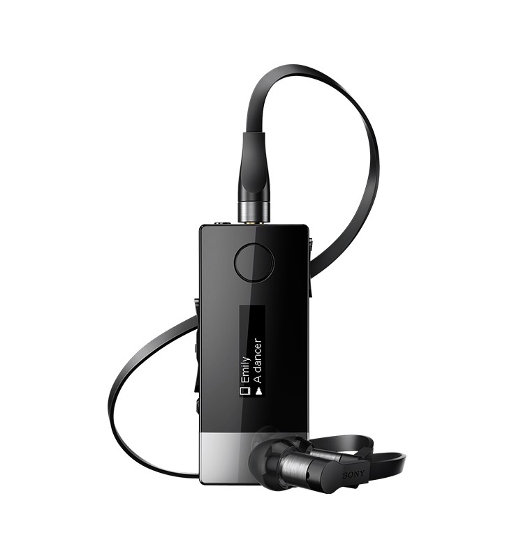 Portable - Electronics Store